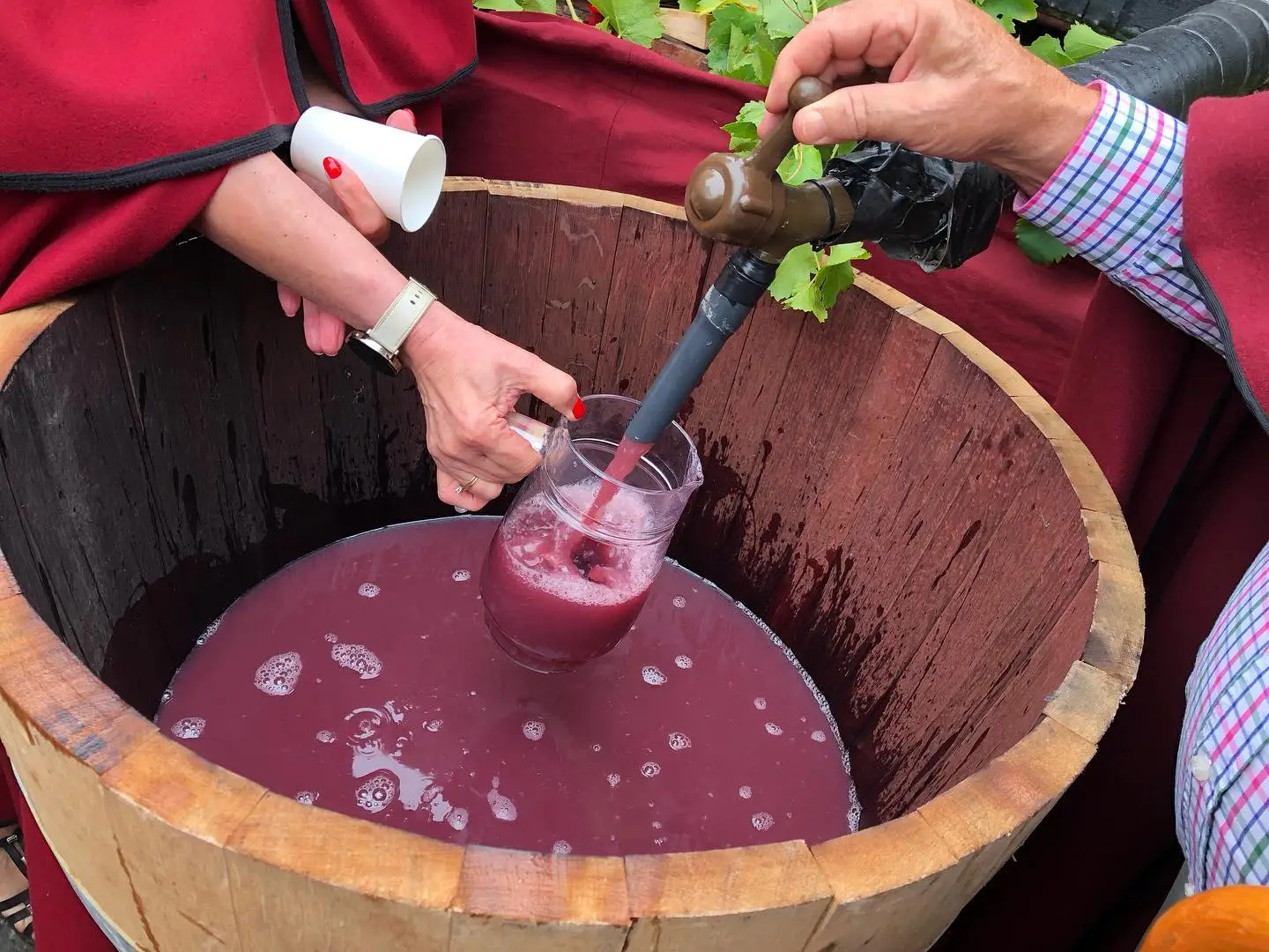 Wine Harvest Festival of Navarre - BASQUE COUNTRY GUIDE